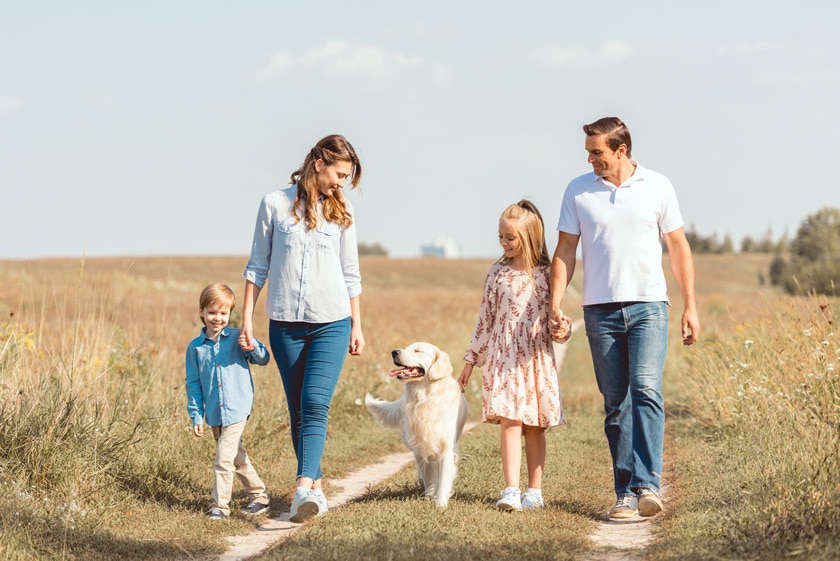 Die richtigen Rahmenbedingungen der Hundehaltung | hundeschule.net
